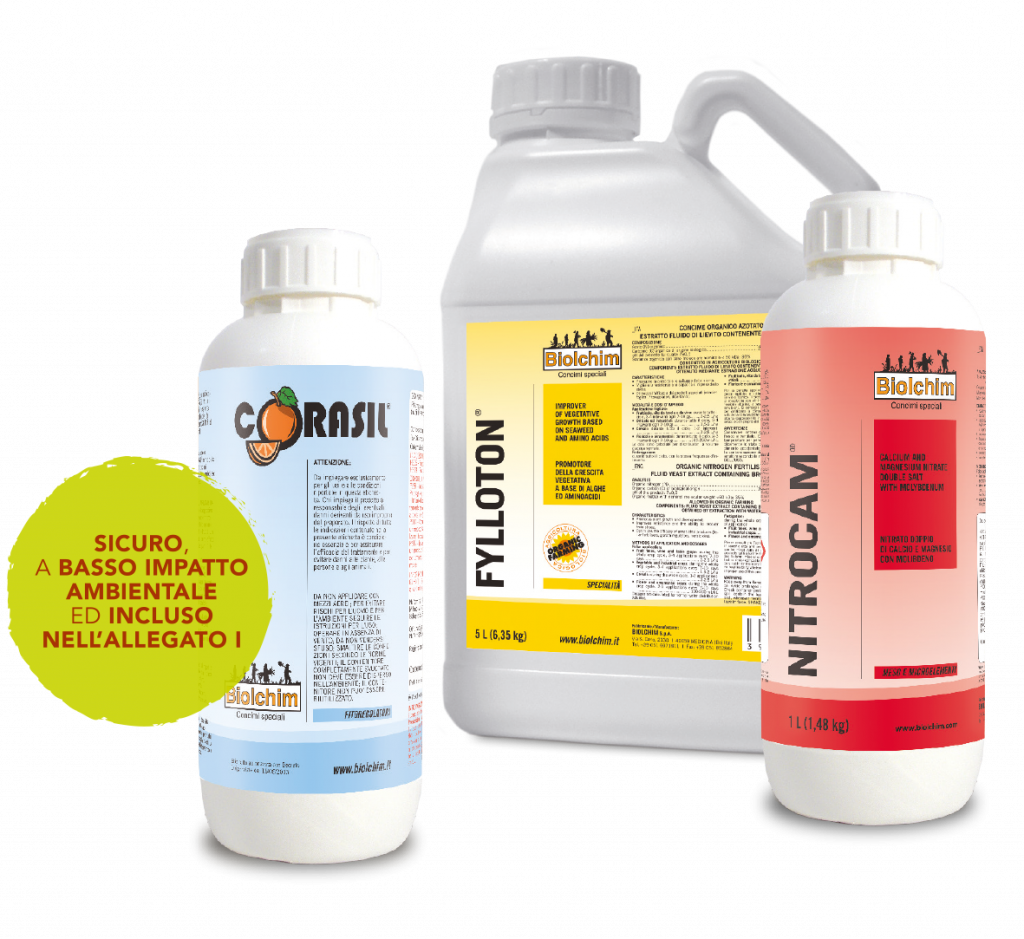 Come migliorare pezzatura e qualità degli agrumi con CORASIL