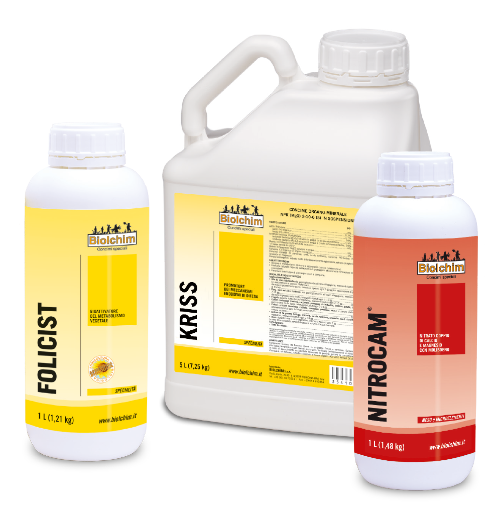 Uva da mensa: più calibro, consistenza, colore e sapore - Biolchim