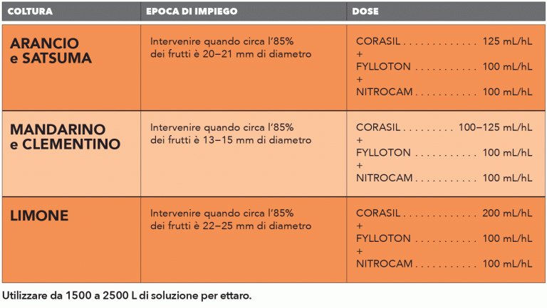 Come migliorare pezzatura e qualità degli agrumi con CORASIL