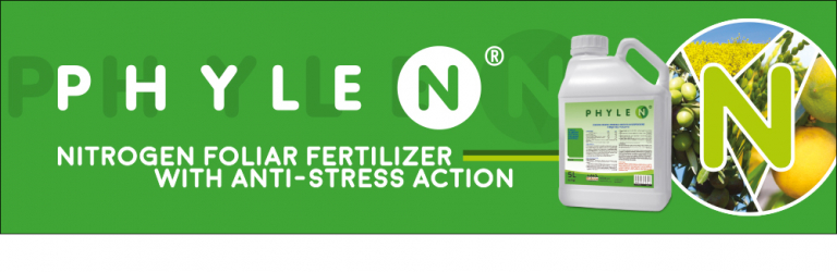 Overcoming stunted growth and increasing yields with PHYLEN - Biolchim