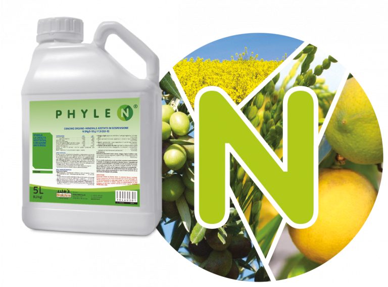 Overcoming stunted growth and increasing yields with PHYLEN - Biolchim