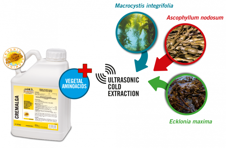 How to manage stress and production weight - Biolchim