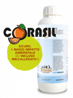 Cascola dell’arancio, come prevenirla? - Biolchim
