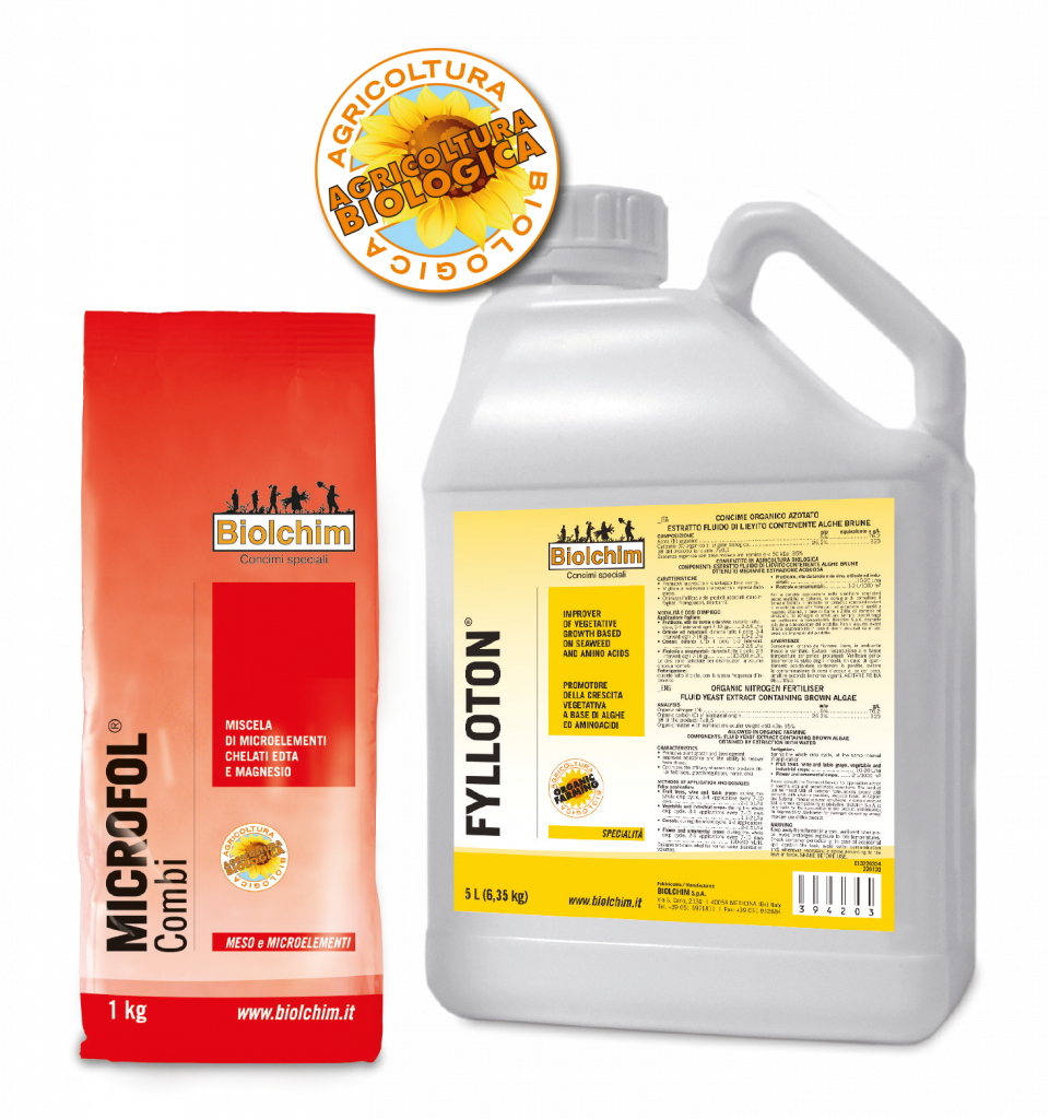 When and how to fertilize the olive grove