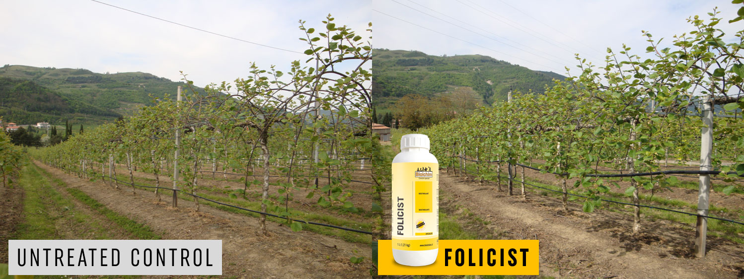 Budding and flowering: the standardizing intervention - Biolchim