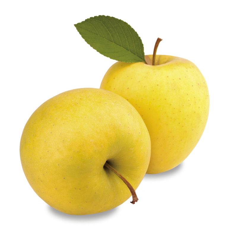 Biolchim at Interpoma 2024: Together, Let’s Tell a Great Story—Yours ...