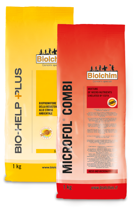 Hazelnut, stronger plants to withstand stress - Biolchim